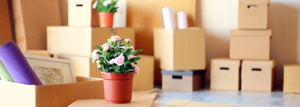 How to Prepare for Spring Moving Season! - Reebie Allied